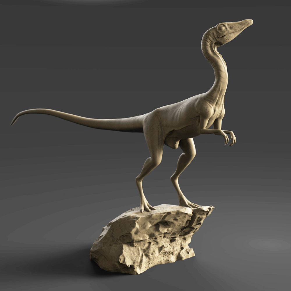 3D file Compsognathus full body - Jurassic Park 🦖 ・3D printer model to download・Cults